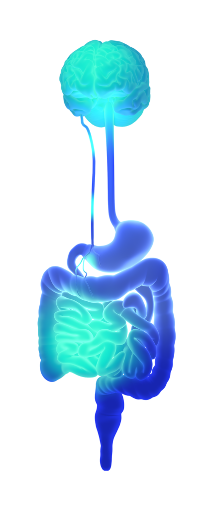 Kallyope | Harnessing the Gut-Brain Axis